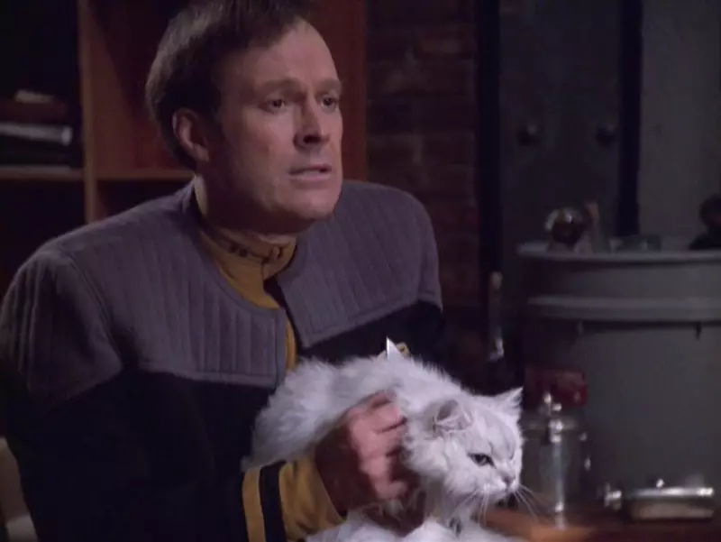 Star Trek: Voyager Rewatch: „Pathfinder“ 3022_6
