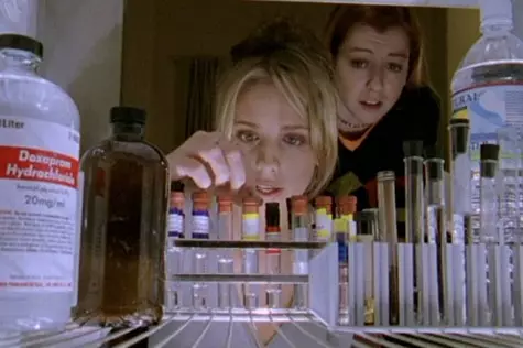 Buffy the Vampire Slayer Herkyk: Geskiedenislesse 31337_2