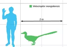 Velociraptor vinder favoritdinosaurafstemning: Rolling Stones på andenpladsen 35197_1