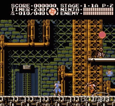 Ninja Gaiden