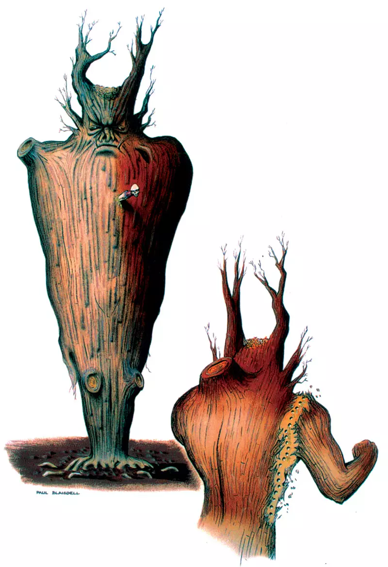 ٹوپنگا وادی کی عجیب مخلوق: پال بلیسڈیل، اس کی زندگی اور اوقات 35561_15