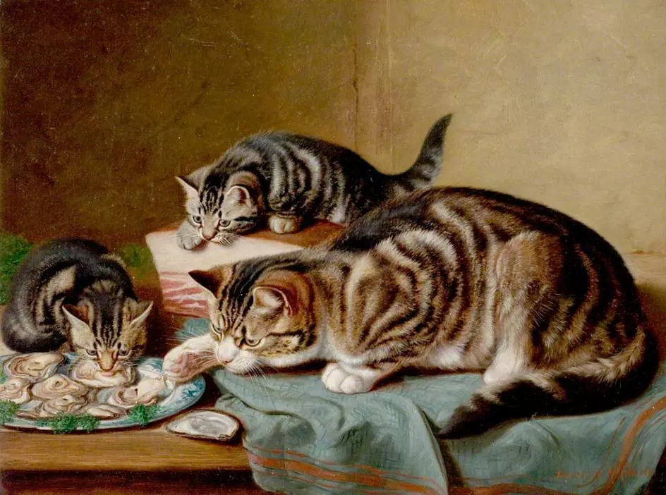 Η λειτουργικότητα των λογοτεχνικών αιλουροειδών: 5 γάτες SFF που αγαπάμε