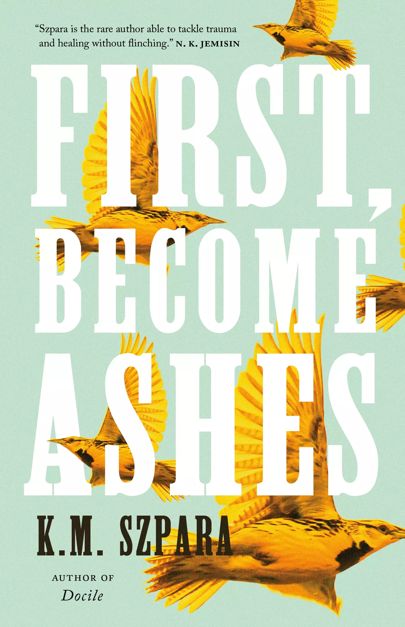 Roadtrips and Truthseeking: Revealing the Cover for K.M. Szpara's First, Become Ashes 4051_1