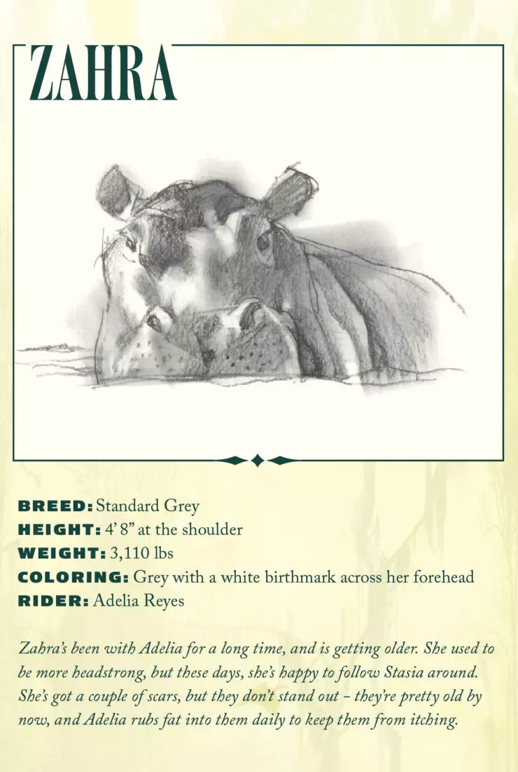 Bi Stêrkên Hippo yên Çemê Diranên Sarah Gailey re hevdîtin bikin 4337_5