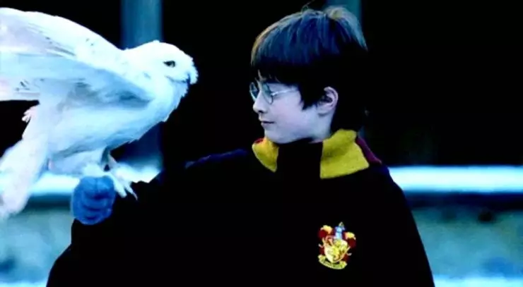 Harry Potter, Harry agus Hedwig