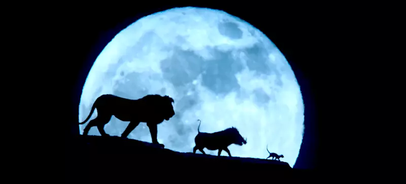 Barry Jenkins führt Regie bei der Fortsetzung von „Der König der Löwen“ aus dem Jahr 2019