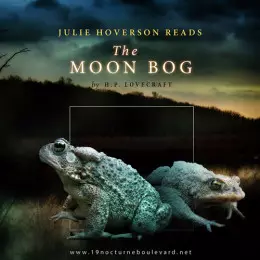Kabeneran Irlandia, sareng Cliches lianna: "The Moon-Bog"