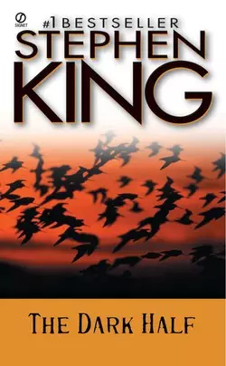 The Great Stephen King Herlees: The Dark Half 74179_6