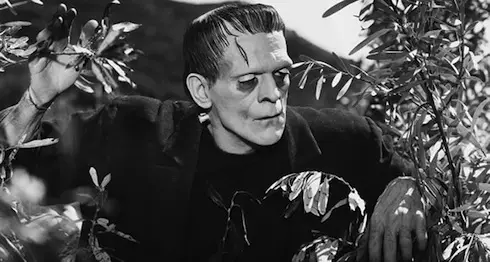 Cultura pop de patchwork: volver a ver el Frankenstein de 1931 80973_2