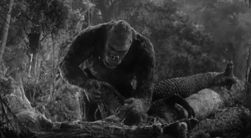 Manote, kad jis išprotėjęs? Na, tiesiog entuziastingai. Dar kartą žiūrėti King Kongą (1933) 80974_4
