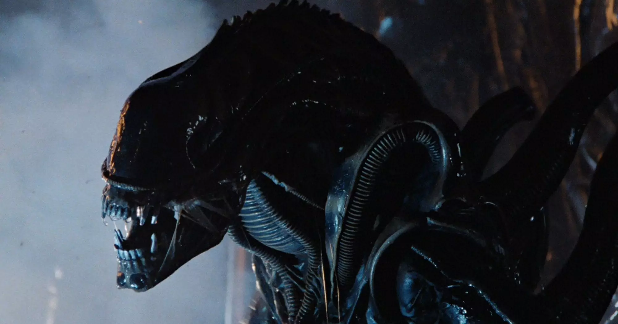سریال تلویزیونی Alien FX تقریباً همزمان با پرومتئوس، اما روی زمین اتفاق میافتد.
