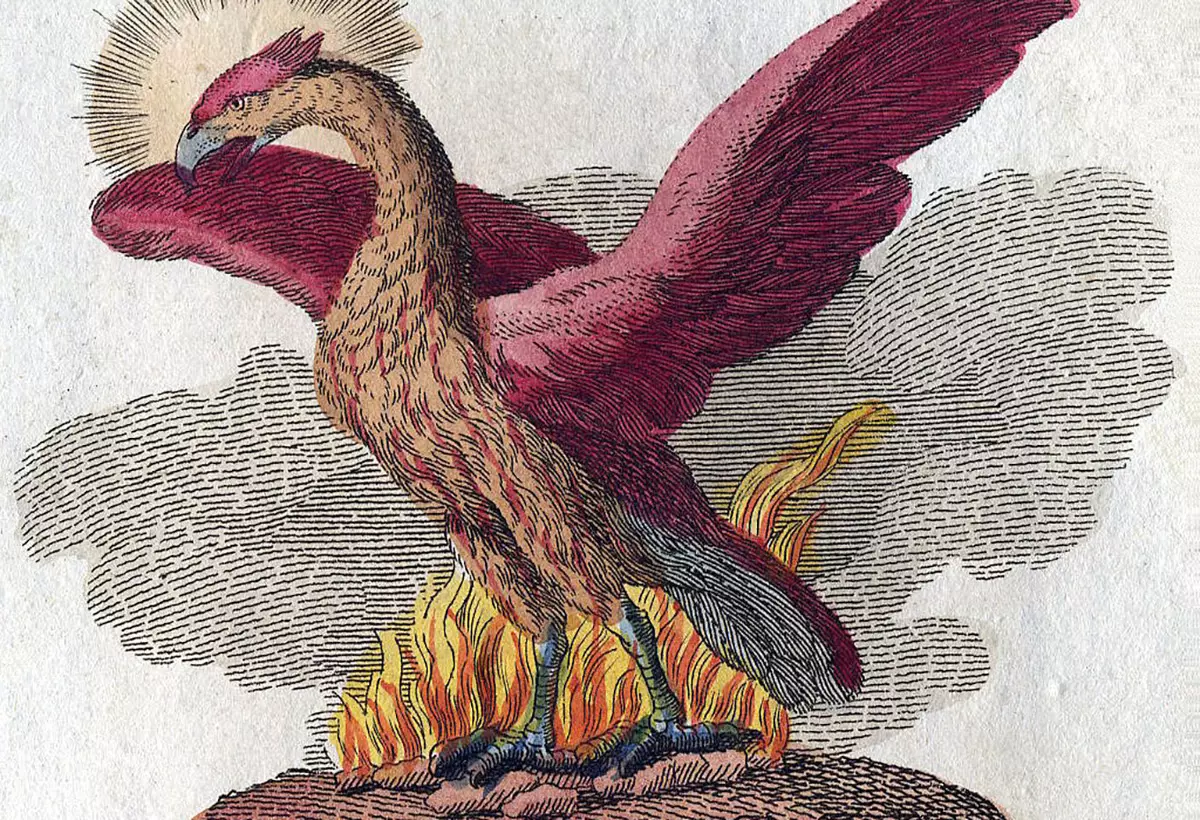 Brannmannens guide til å kjempe mot en Phoenix
