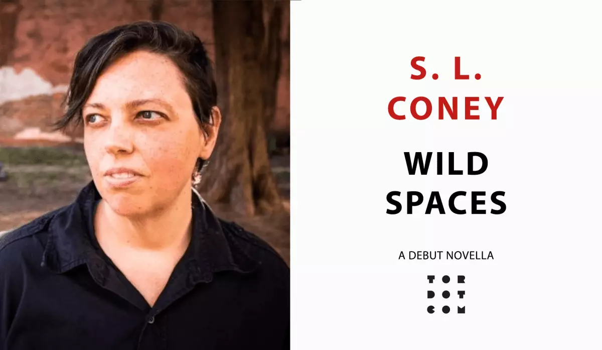 Geschicht Huet Schichten: Ukënnegung Wild Spaces vum S. L. Coney