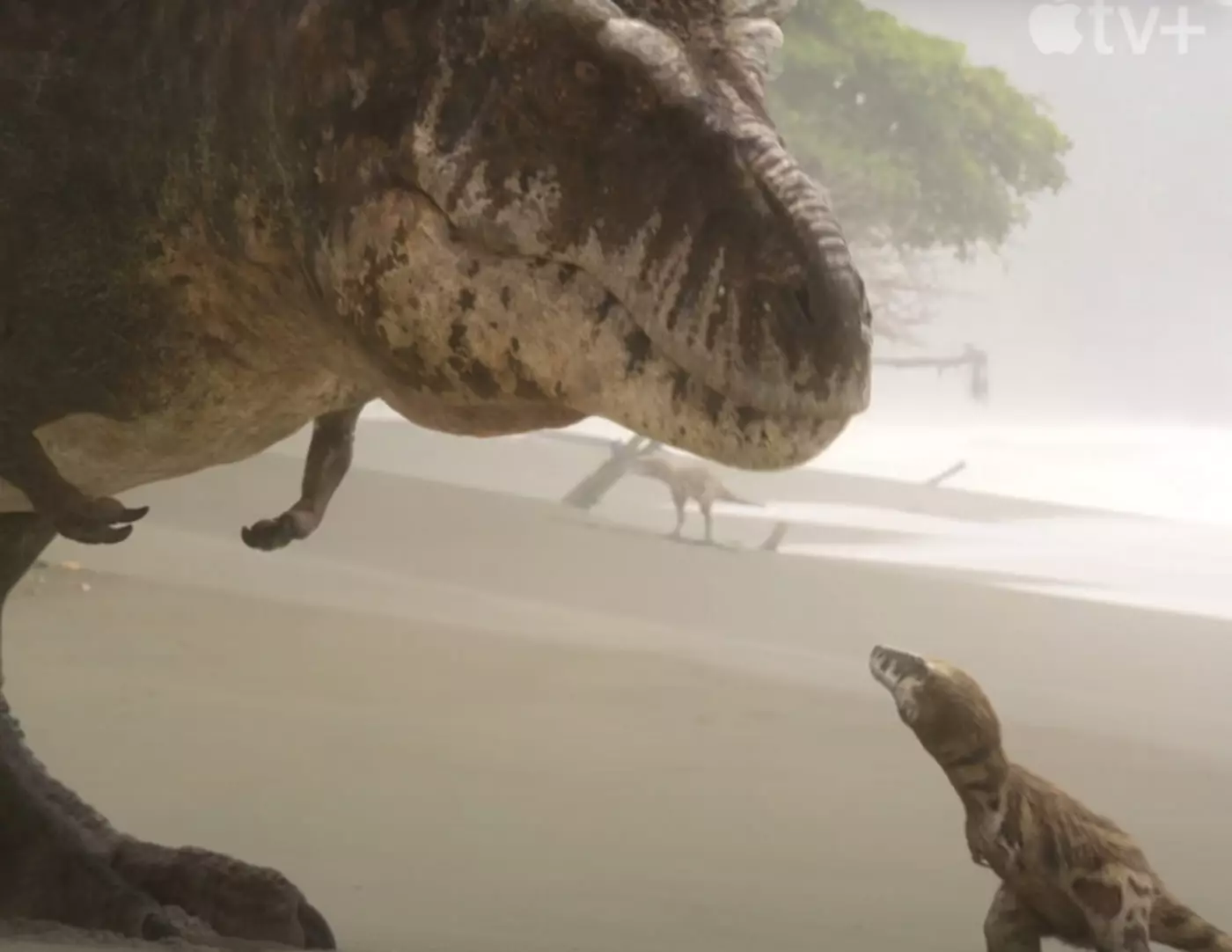 نیا Dino Doc T-Rex کے پیرنٹنگ اسٹائل کو ہنس زیمر اسکور پر سیٹ دکھائے گا۔