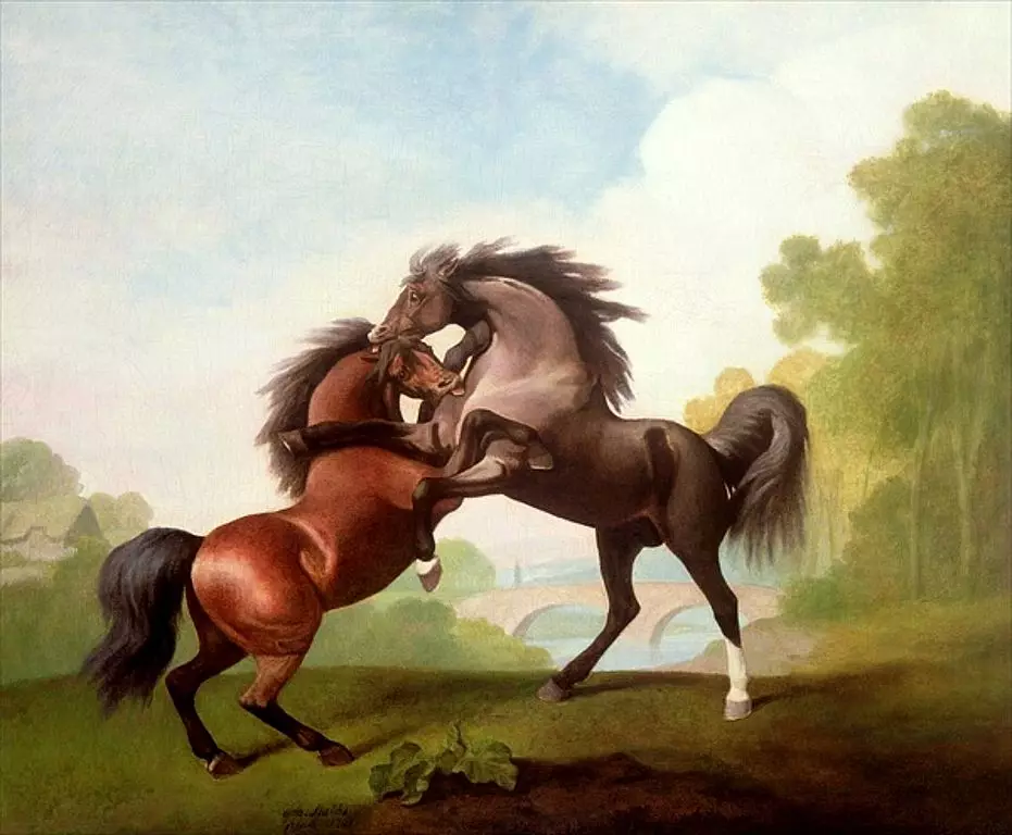 Ngarti Kuda: Kuda, Anger, jeung Letting Go