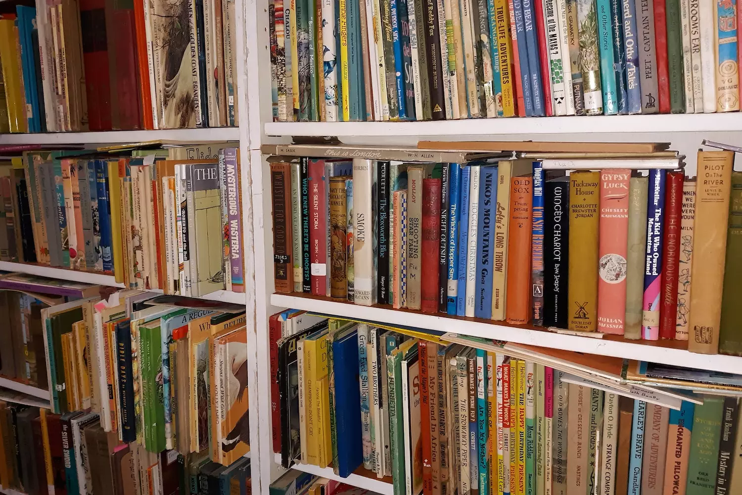 SF-böcker som inte hörde hemma i bibliotekets barnavdelning