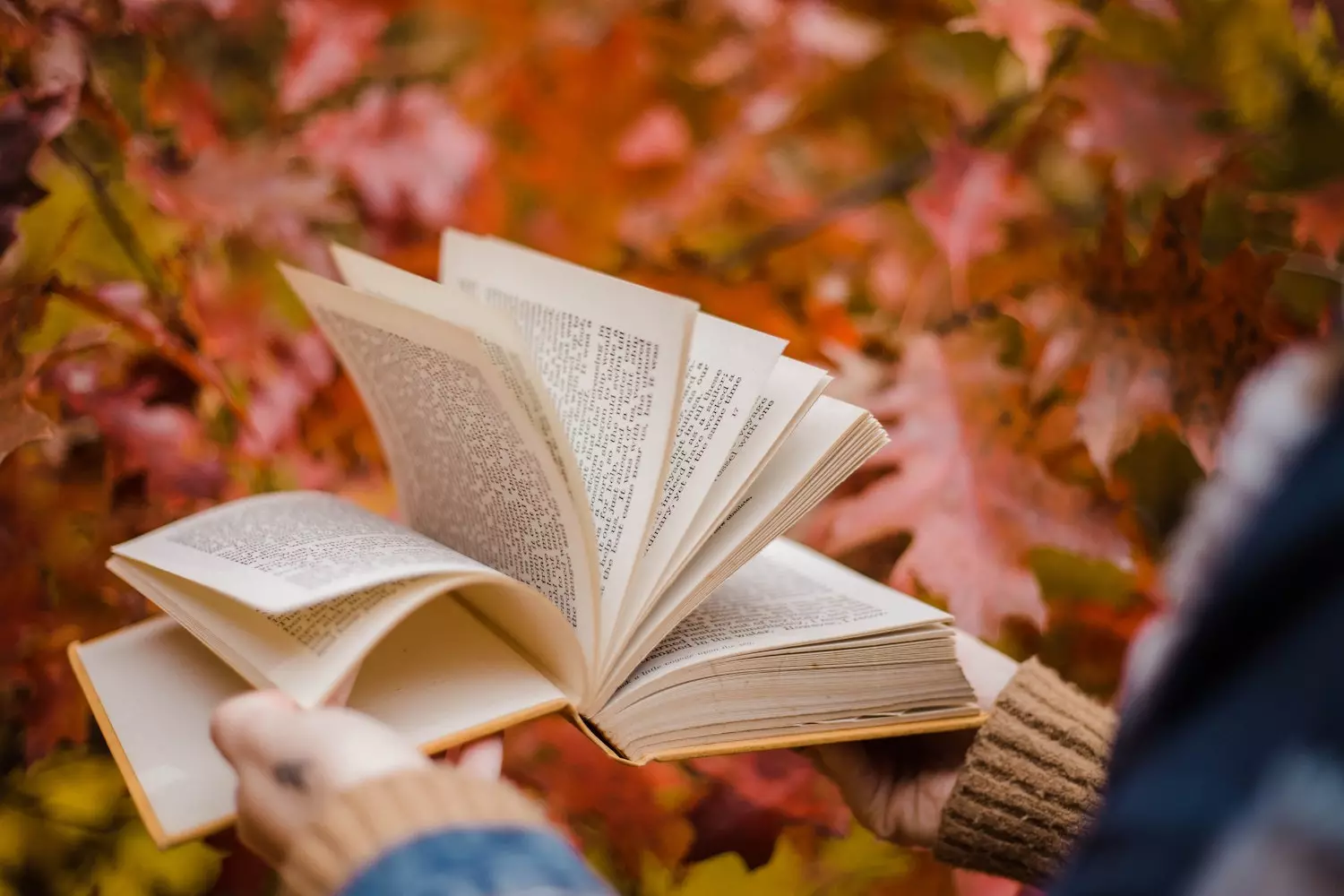 एक कुरकुरीत शरद ऋतूतील पुस्तक वाचा आणि उचलण्याची वेळ आली आहे