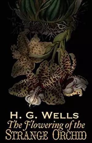 Meni iýmitlendir, Seýmur: H.G Wells ““ Geň orkide güllemek ”